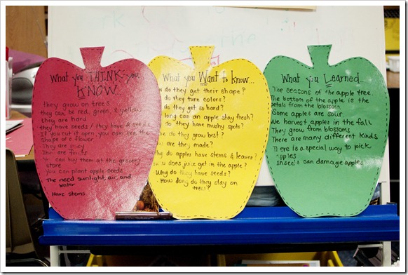 Apples, Apples, Everywhere! - Cara Carroll